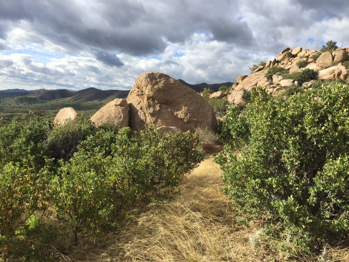 April 9 & 10: Oracle Ridge – The Arizona Trail